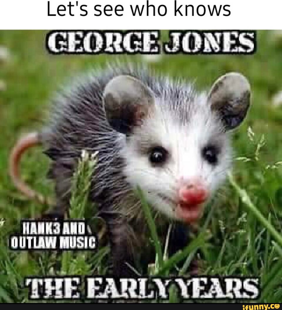 Let's see who knows GEORGE JONES HAMK3 AND I OUTLAW MUSIC THE EARLY ...