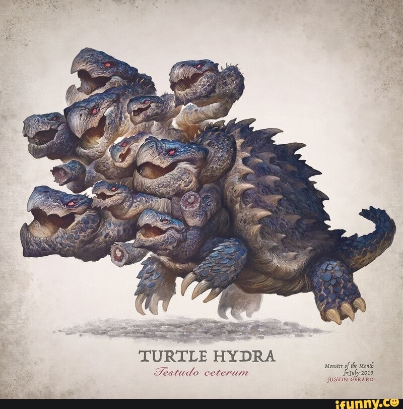 Testudo memes. Best Collection of funny Testudo pictures on iFunny