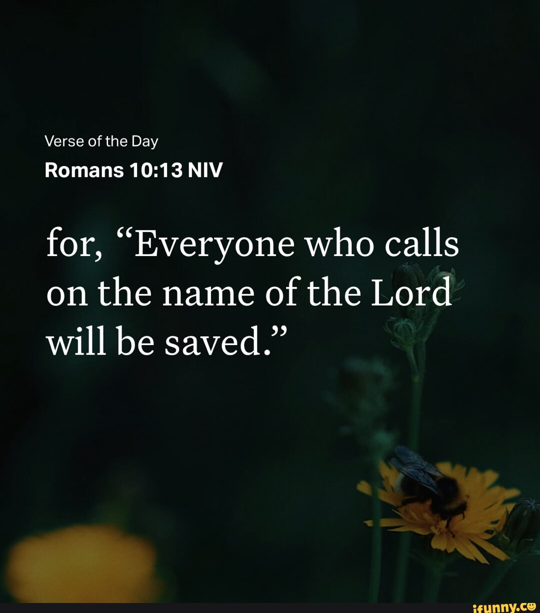 Verse of the Day Romans NIV for, "Everyone who calls on the name of the ...