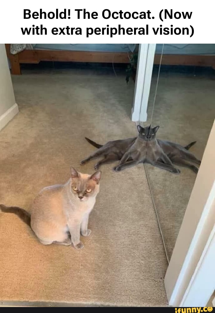 Behold! The Octocat. (Now with extra peripheral vision) - iFunny