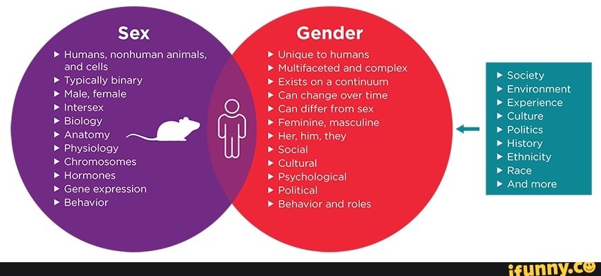 Sex Humans, nonhuman animals, and cells Typically binary Male, female ...
