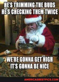 HES TRIMMING THE BUDS CHECKING THEM TWICE WERE GONNA GET HIGH IT'S ...