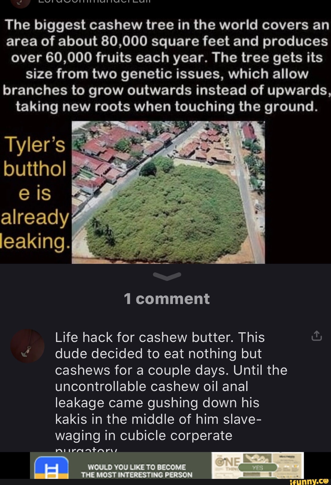 Dashboard memes. Best Collection of funny Dashboard pictures on iFunny