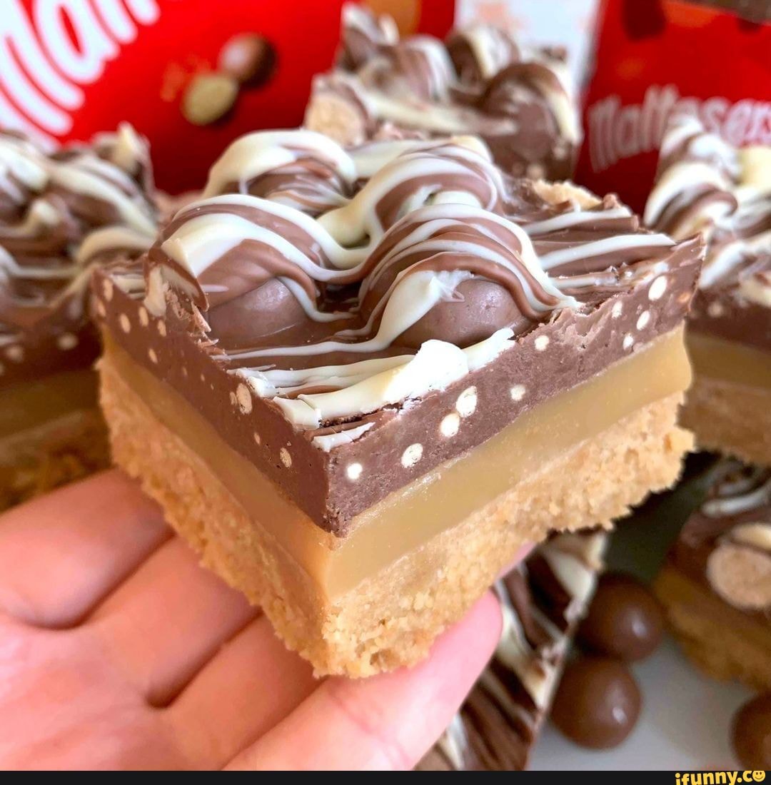 Malteser memes. Best Collection of funny Malteser pictures on iFunny