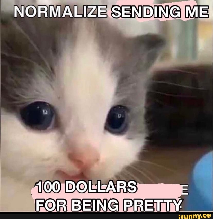 NORMALIZE SENDING ME 100 DOLEARS = FOR BEING PRETTY - iFunny