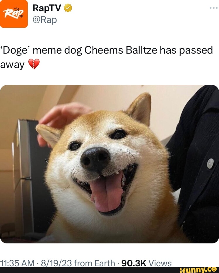 RapTV Rap 'Doge' meme dog Cheems Balltze has passed away AM - from ...