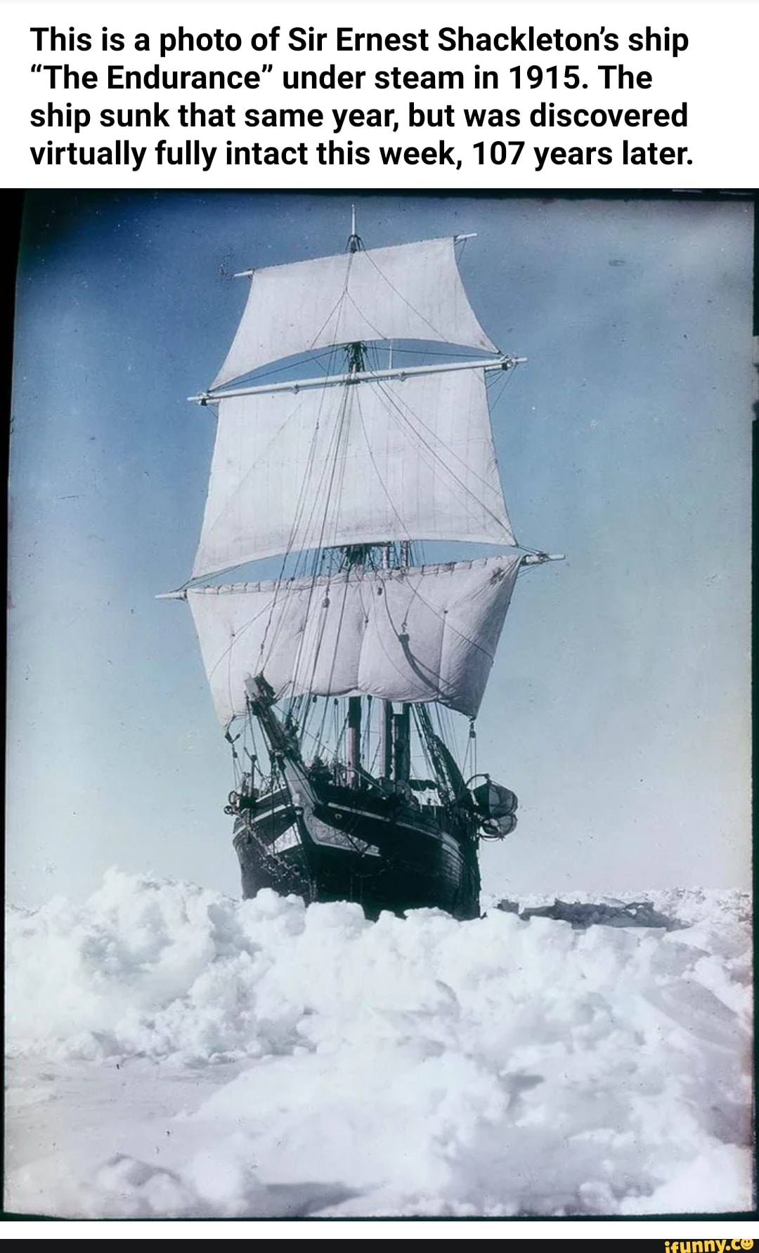 Shackletons memes. Best Collection of funny Shackletons pictures on iFunny