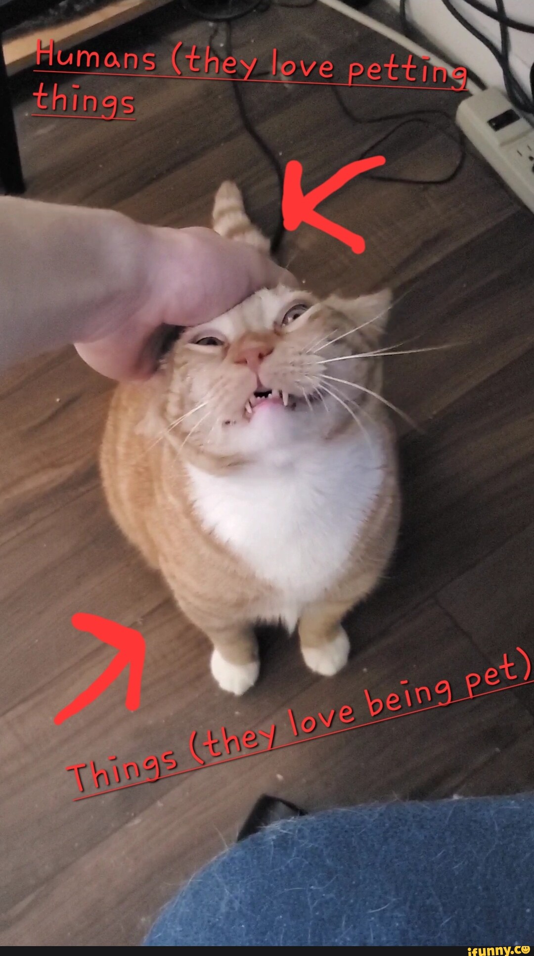 Humans love petty; things - iFunny