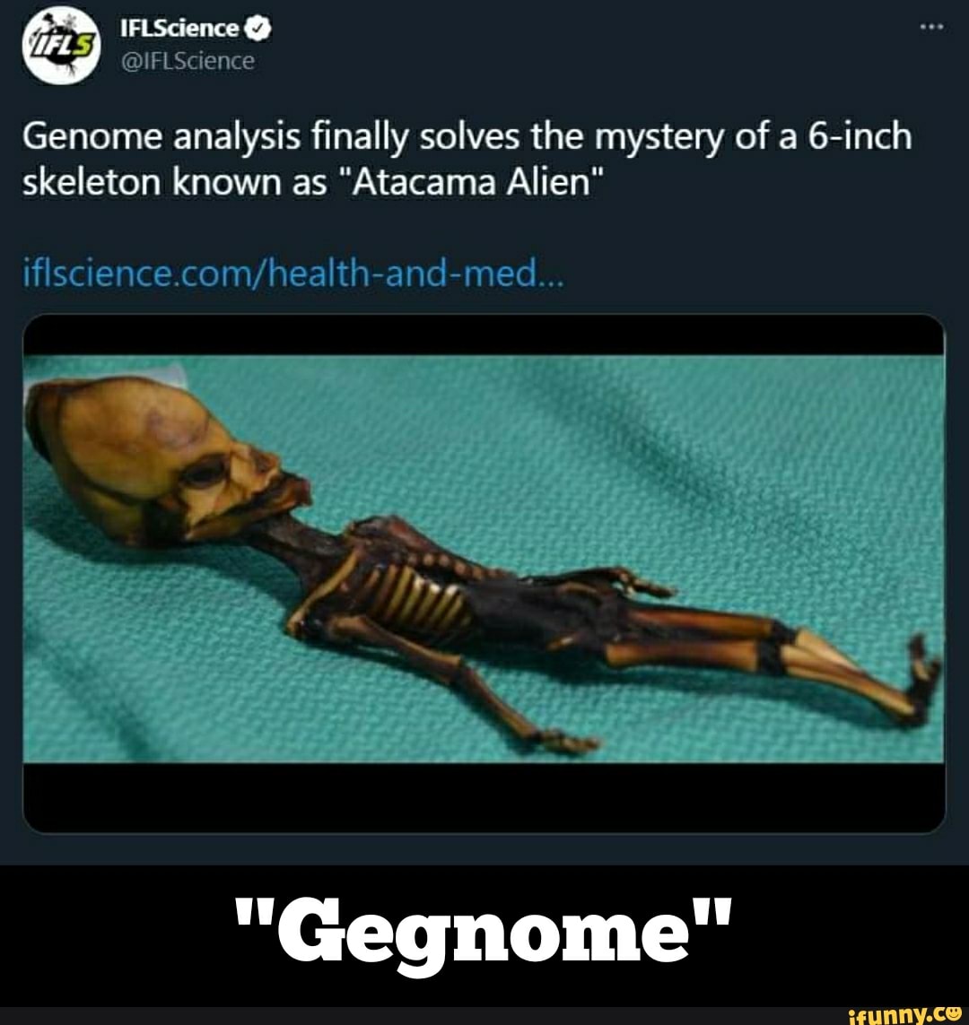Atacama memes. Best Collection of funny Atacama pictures on iFunny