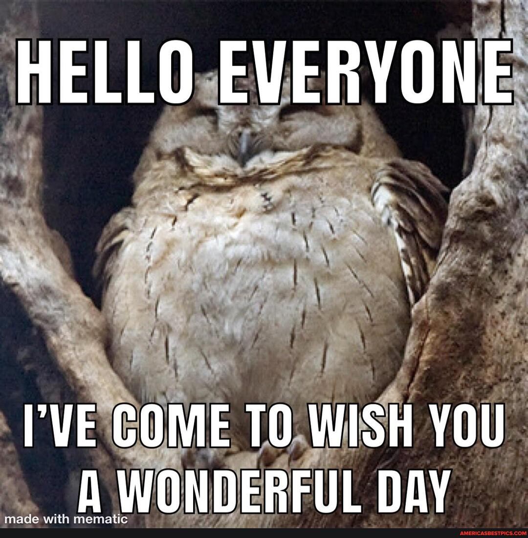 HELLO EVERYONE Gal COME TO WISH YOU A WONDERFUL DAY - America’s best ...