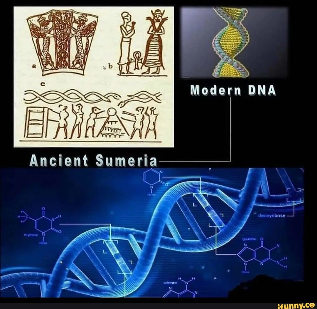 Sumeria memes. Best Collection of funny Sumeria pictures on iFunny