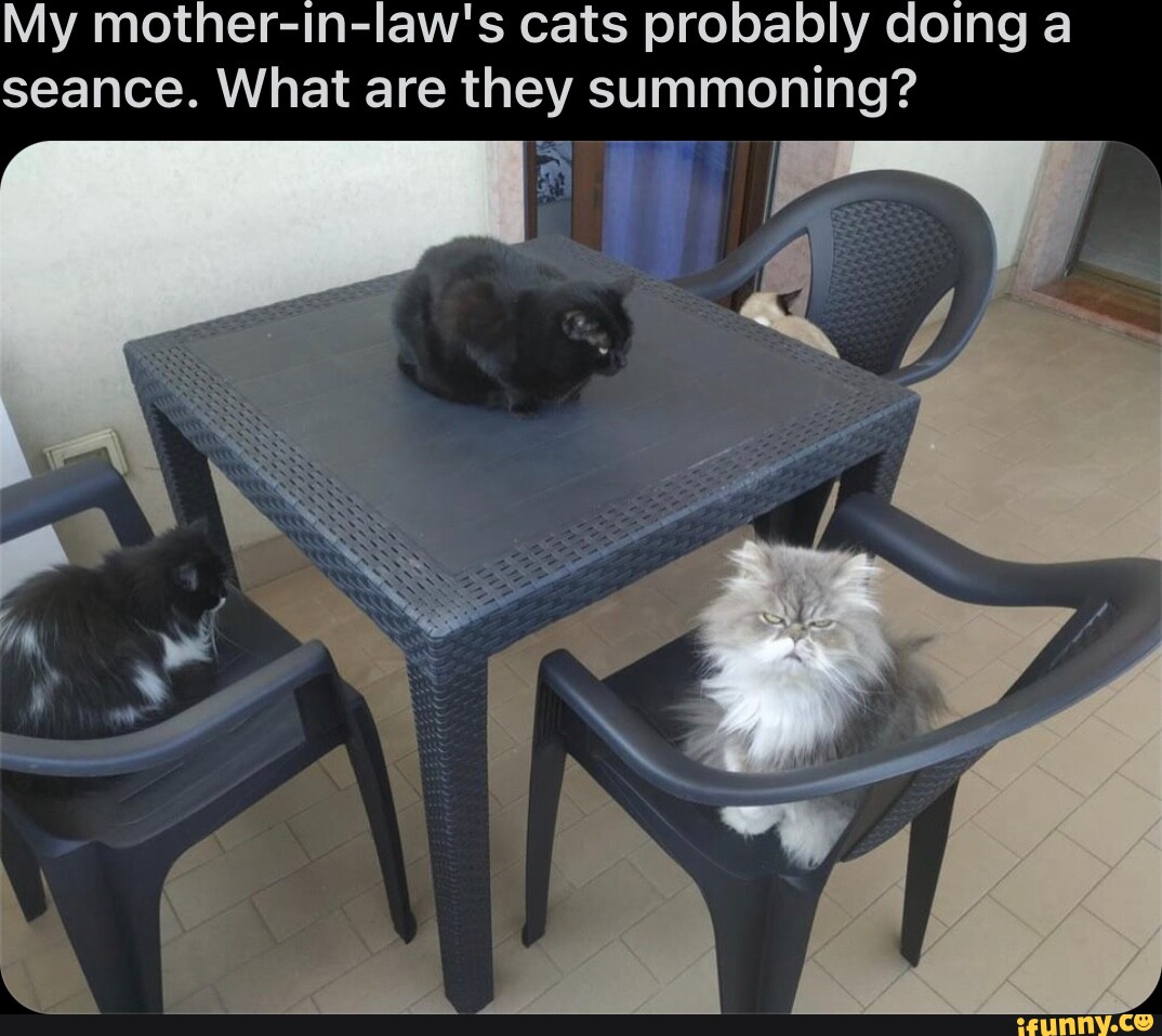 Seance memes. Best Collection of funny Seance pictures on iFunny