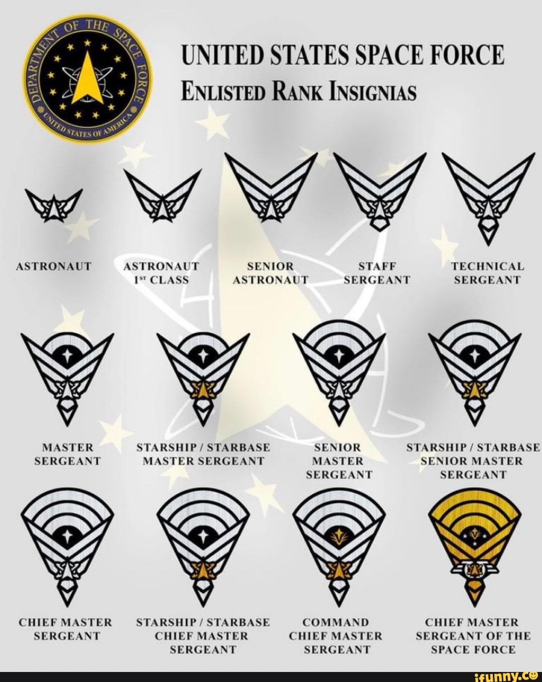 UNITED STATES SPACE FORCE ENLISTED RANK INSIGNIAS ww ASTRONAUT ...