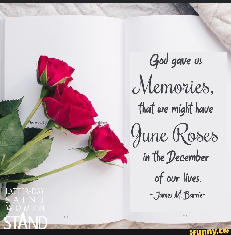 Roses In December Quote