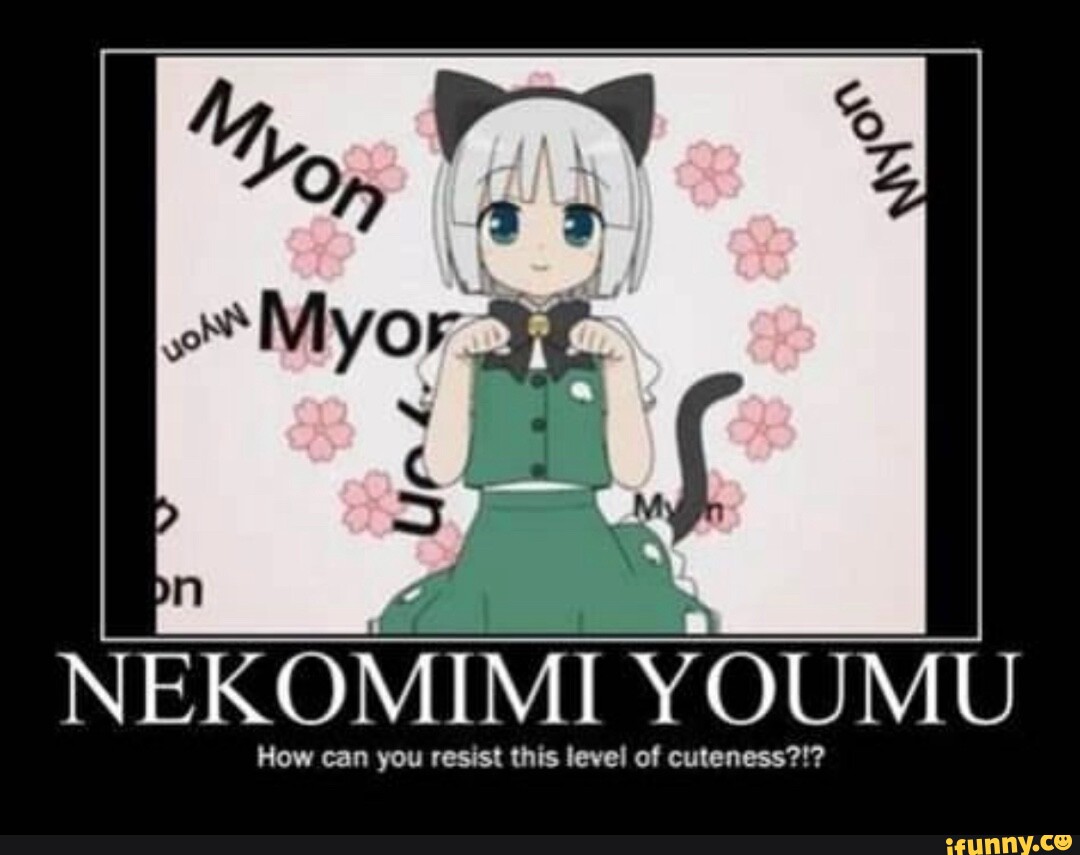 NEKOMIMI YO OUMU How can you resist this level of cuteness?!? - iFunny