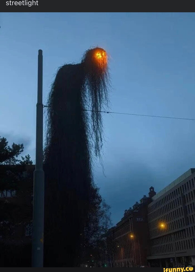 Streetlight memes. Best Collection of funny Streetlight pictures on iFunny