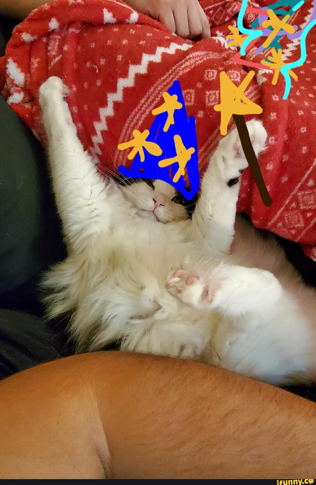 Gotcha_day memes. Best Collection of funny Gotcha_day pictures on iFunny