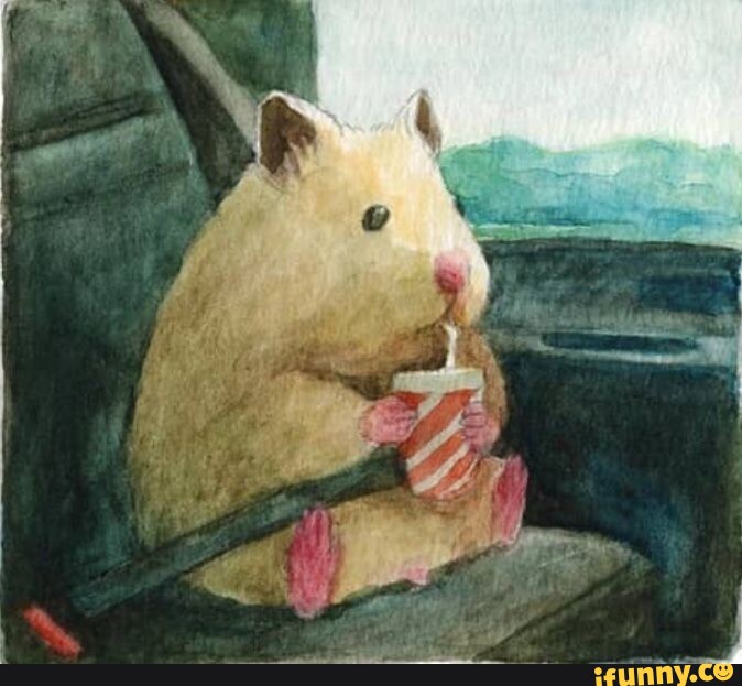 Gotte memes. Best Collection of funny Gotte pictures on iFunny