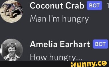Amelia memes. Best Collection of funny Amelia pictures on iFunny
