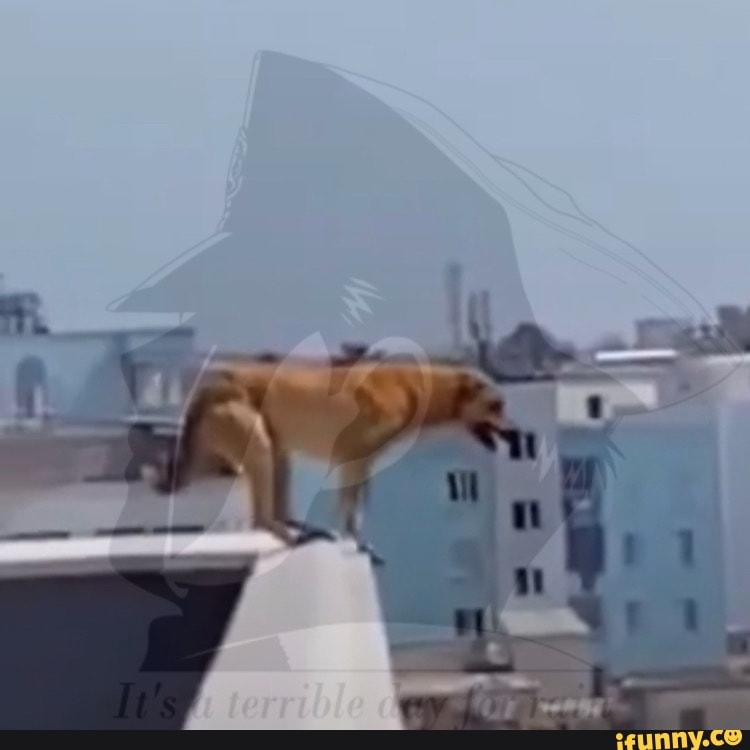 Kaprizov memes. Best Collection of funny Kaprizov pictures on iFunny