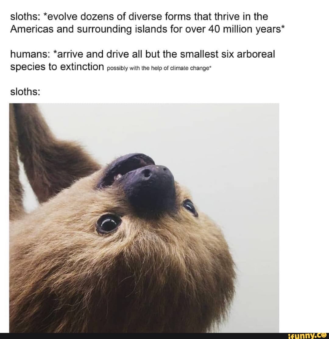 Sloths: *evolve dozens of diverse forms that thrive in the Americas and ...