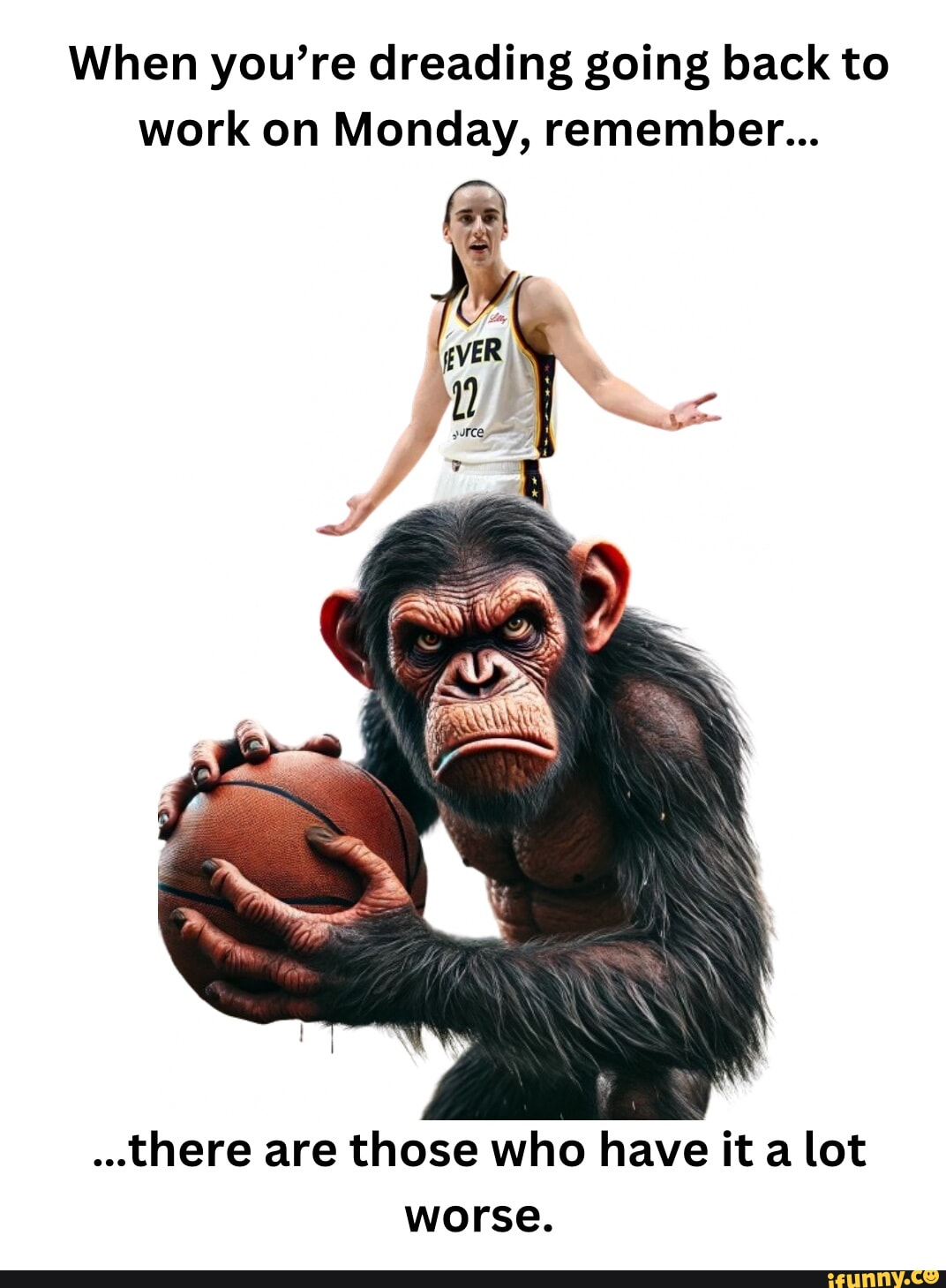 Wnba memes. Best Collection of funny Wnba pictures on iFunny