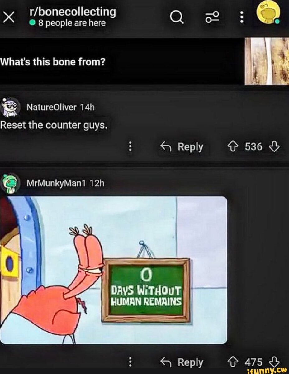 8 people are here Q What's this bone from? NatureOliver Reset the counter guys. Reply 536 ...