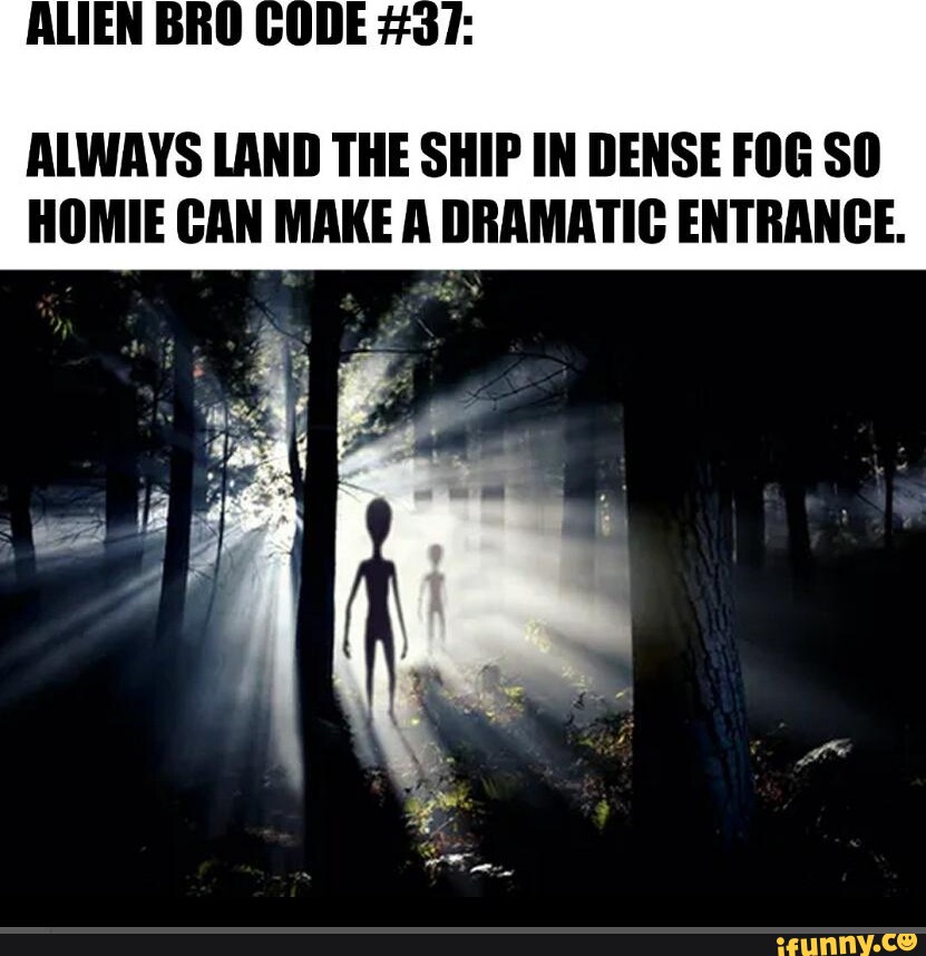 ALWAYS LAND THE SHIP IN DENSE FOG SO HOMIE CAN MAKE A DRAMATIC ENTRANCE ...