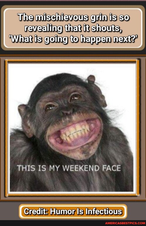 The mischievous grin is so revealing that it shouts, 'What is going to ...