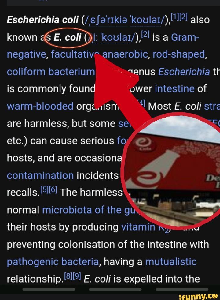 Escherichia memes. Best Collection of funny Escherichia pictures on iFunny