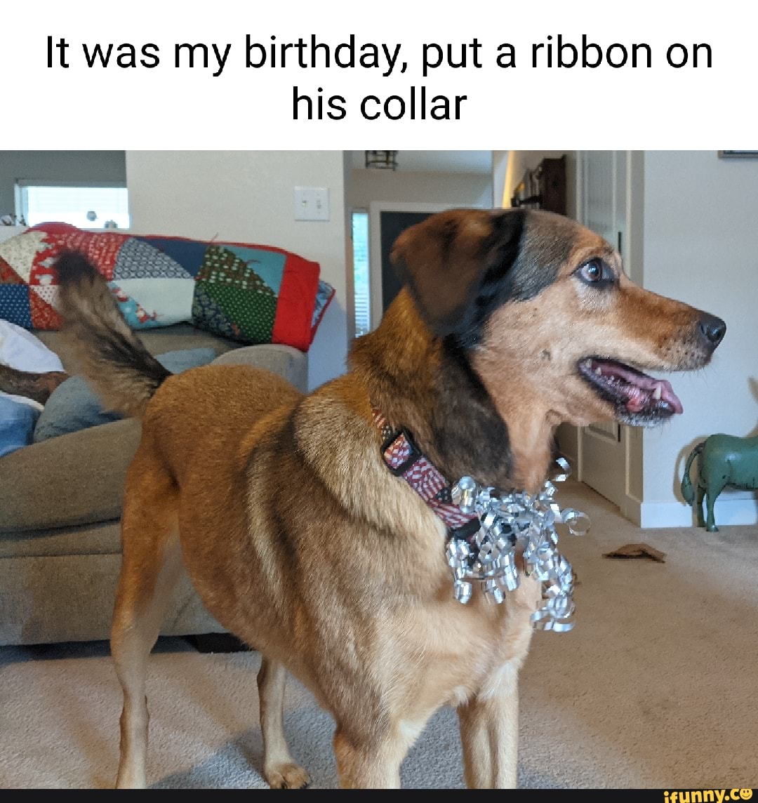 Ribbon memes. Best Collection of funny Ribbon pictures on iFunny
