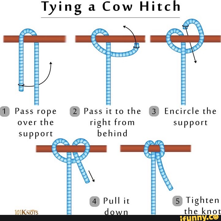 Tying a Cow Hitch @ Pass rope (2) Pass it che (3) Encircle the over the ...