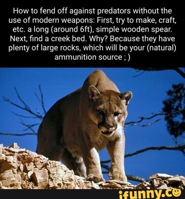 How to fend off against predators without the use of modern weapons ...