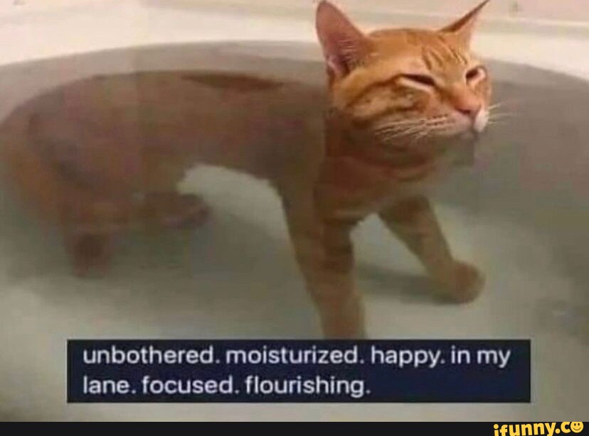 Unbothered. moisturized. happy. in my lane. focused. flourishing. - iFunny