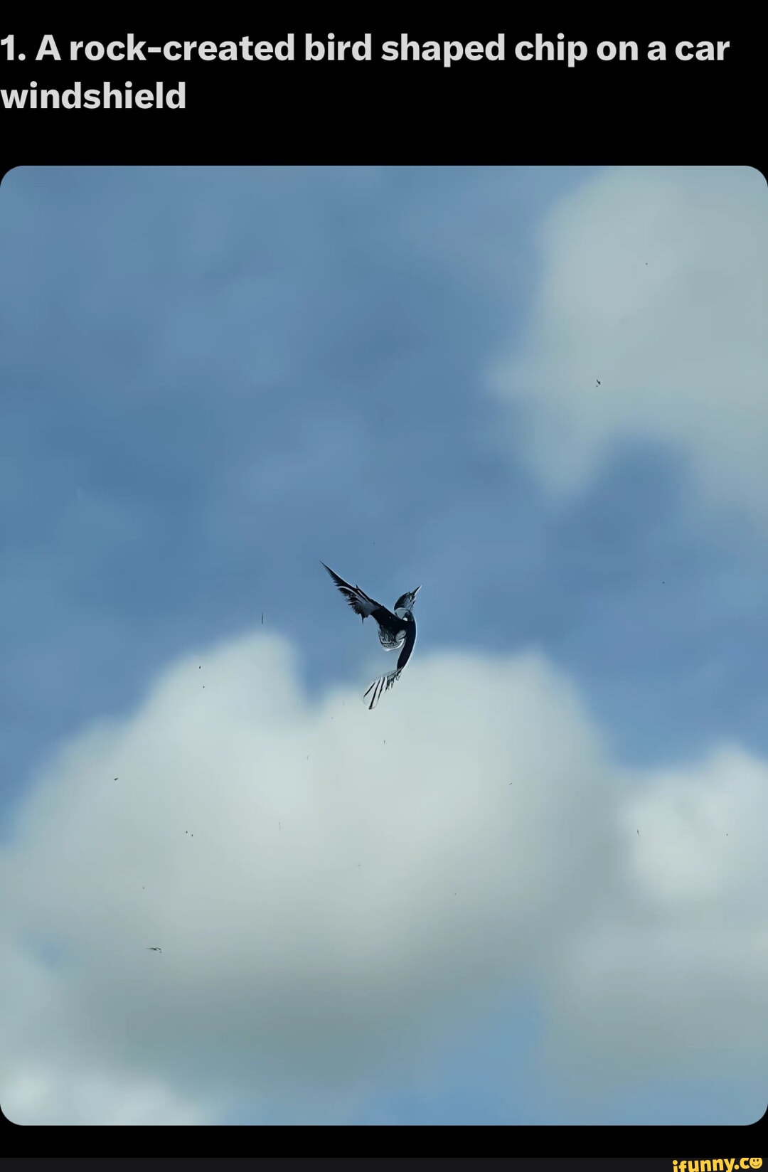 Windshield memes. Best Collection of funny Windshield pictures on iFunny