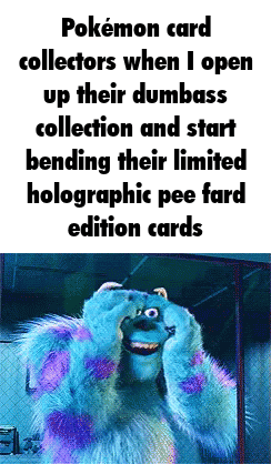 Pokemon card collectors when open up their dumbass collection and start ...