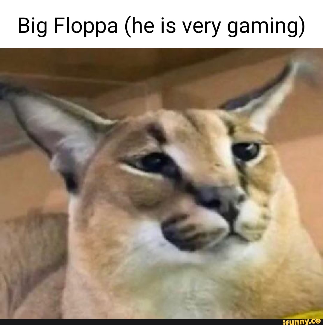 Big Floppa (he is very gaming) - iFunny