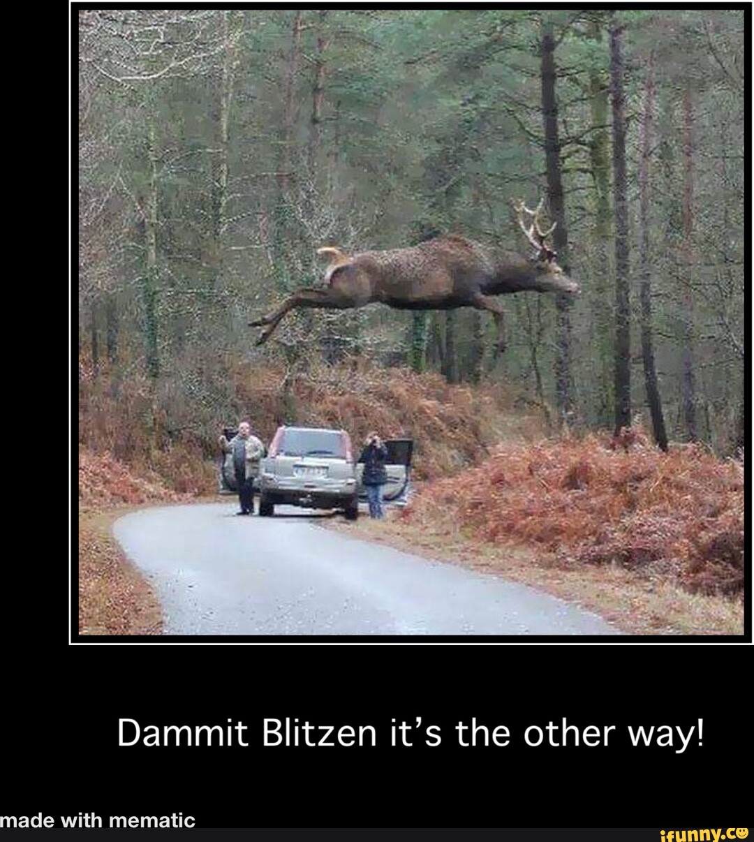 Blitzen memes. Best Collection of funny Blitzen pictures on iFunny