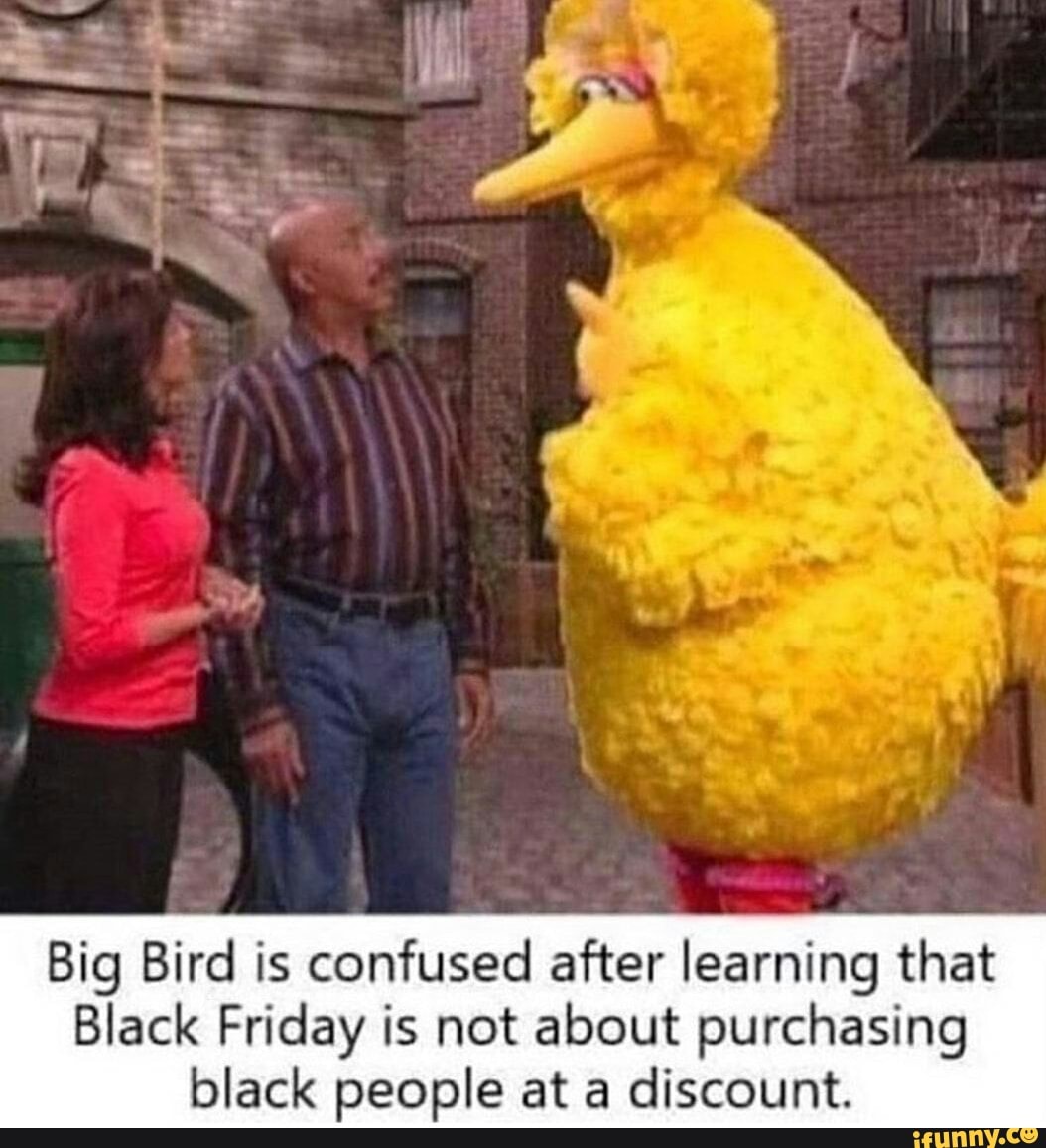Big Bird is confused after learning that Black Friday is not about ...