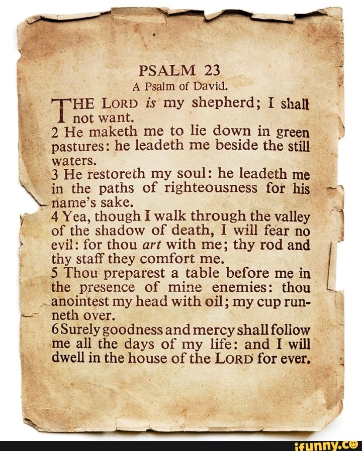 PSALM 23 A Psalm of David. HE LORD is my shepherd; I shall not want. 2 ...