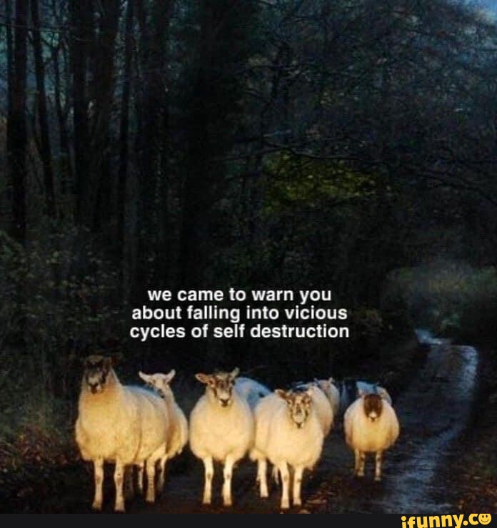 We came to warn you about falling into vicious cycles of self ...