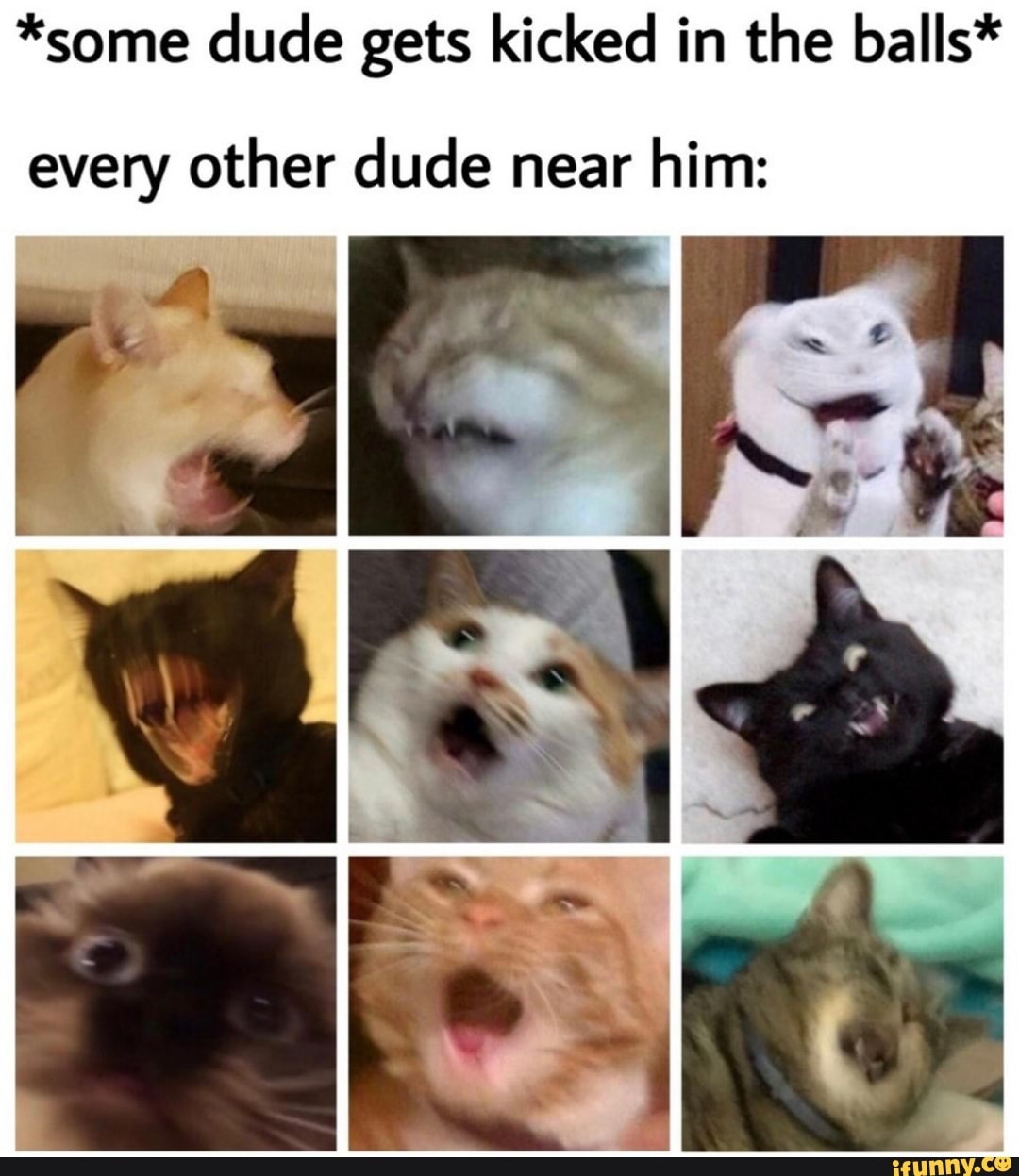 *some dude gets kicked in the balls* every other dude near him: - iFunny