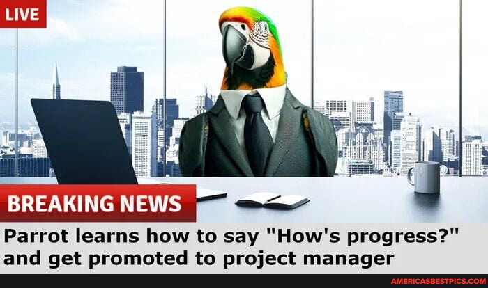 BREAKING NEWS Parrot learns how to say "How's progress?" and get ...