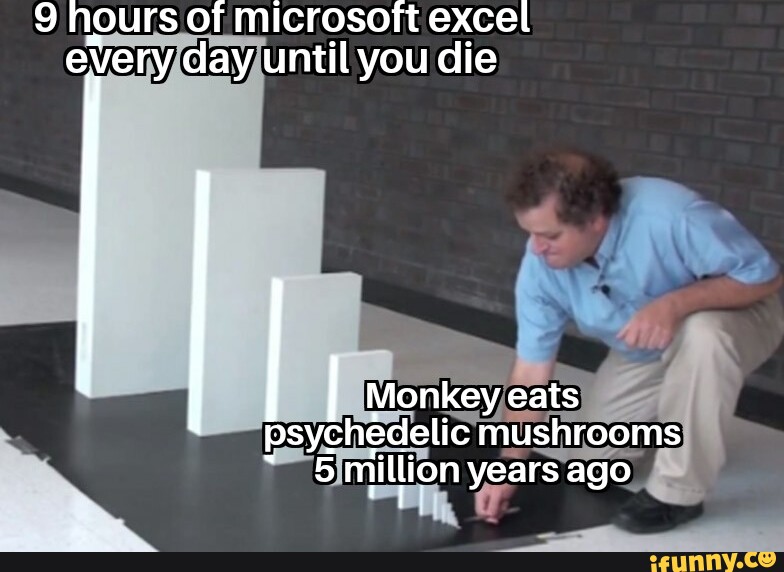 9 hours of microsoft excel every day until you die I Monkey eats ...