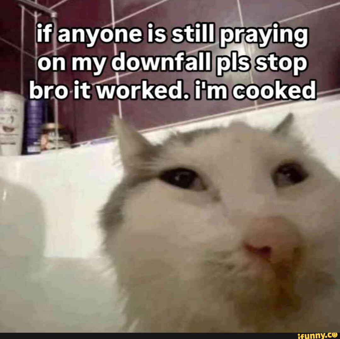 If anyone is still praying on my downfall pls stop bro it worked. i'm cooked - iFunny