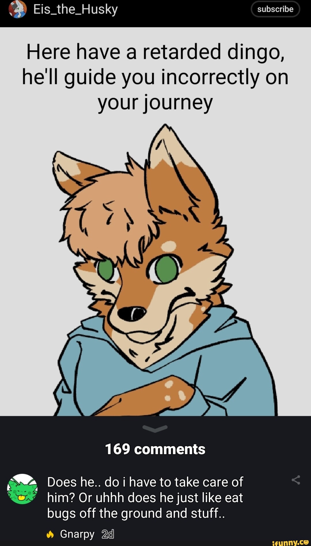 Dingo memes. Best Collection of funny Dingo pictures on iFunny