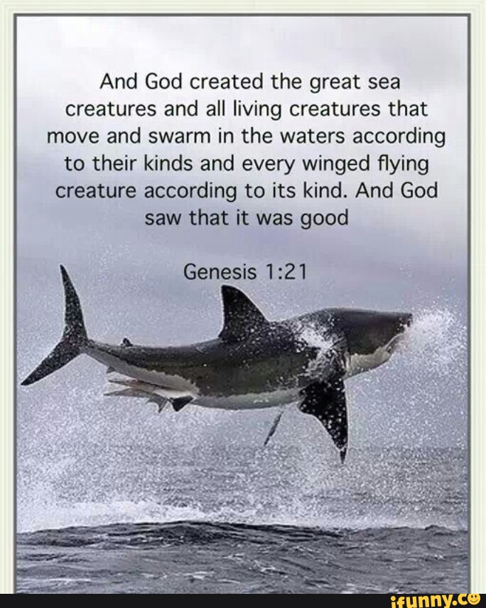 And God created the great sea creatures and all living creatures that ...
