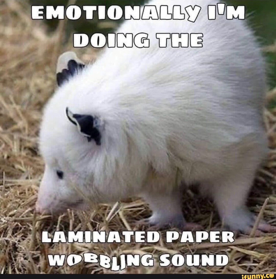 Skidaddle skidoodle the girl reading this is - iFunny