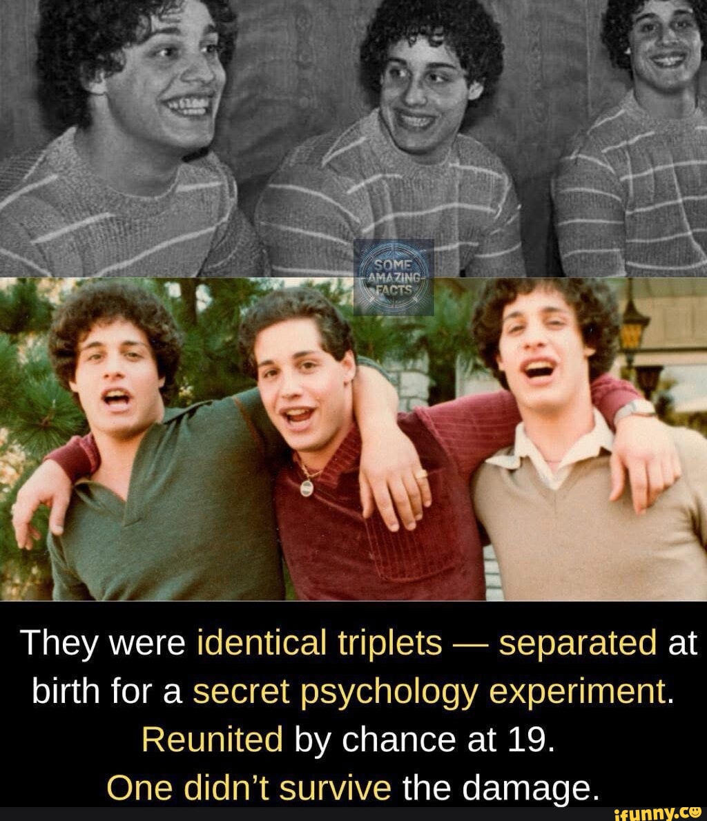 They were identical triplets - separated at birth for a secret ...
