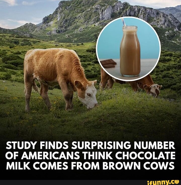 STUDY FINDS SURPRISING NUMBER OF AMERICANS THINK CHOCOLATE MILK COMES FROM BROWN COWS - iFunny